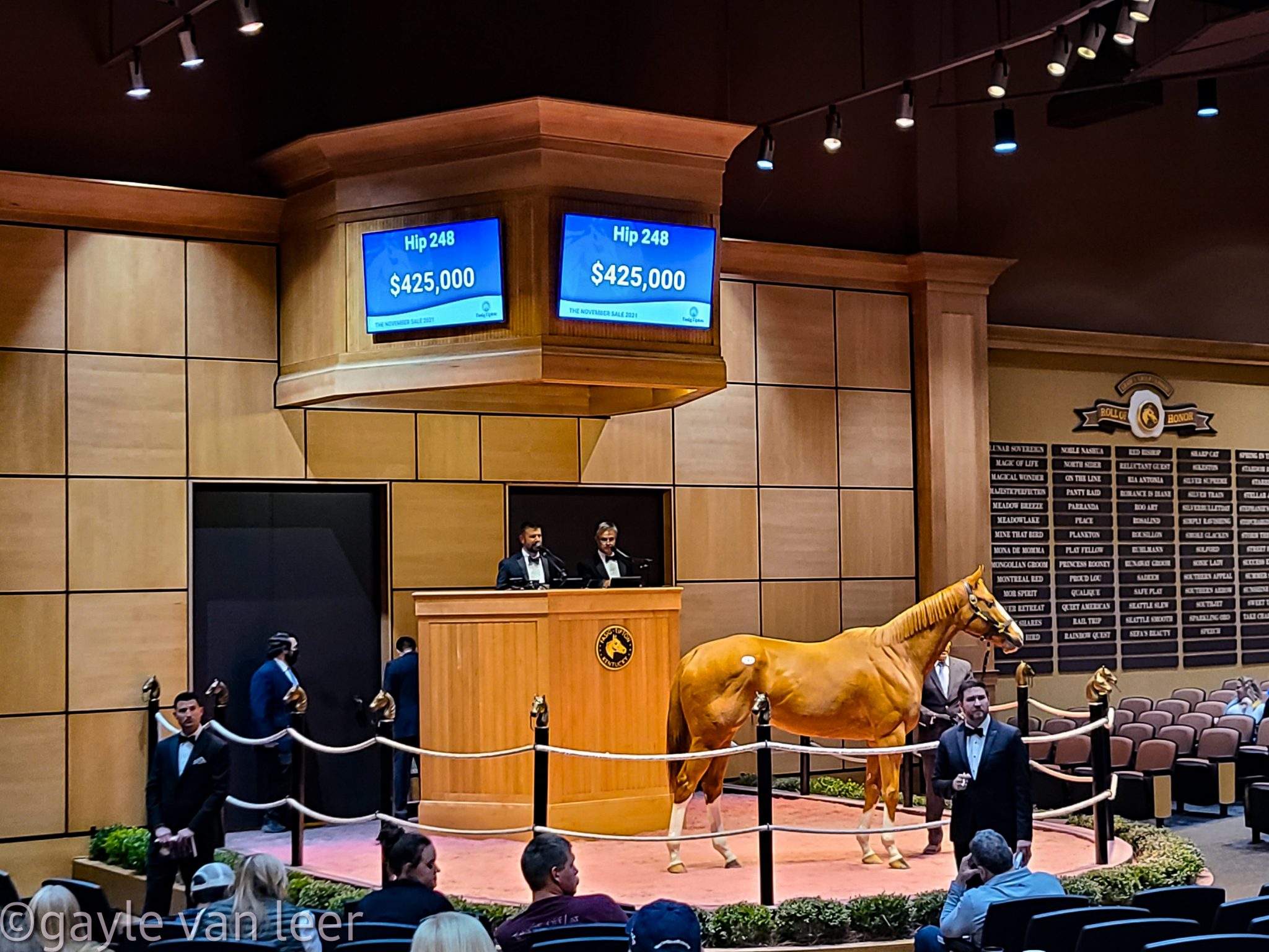 THIS TEA sells for $425,000 at the Fasig Tipton November Breeding Stock ...